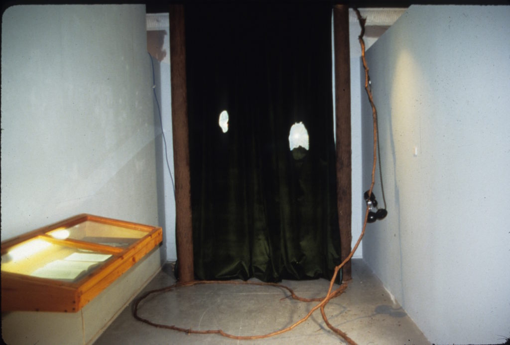 Installations | Elizabeth Chitty